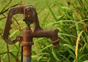 How to Find an Underground Spring on Your Property - Lawn Inspection